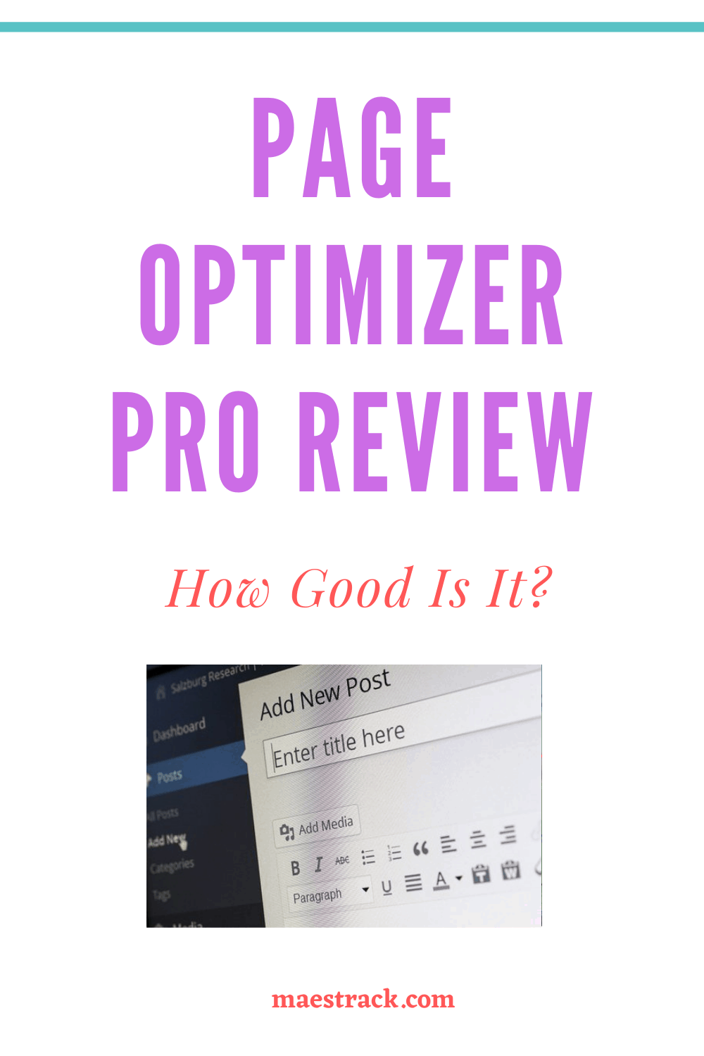 Page Optimizer Pro Review - Understanding Money